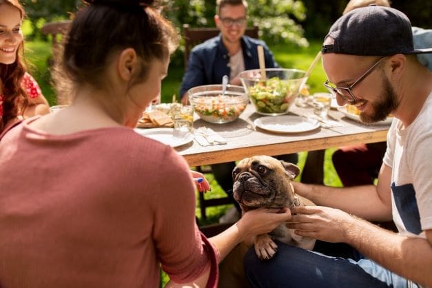 How to Help Your Dog Socialize - Paws Play CLE